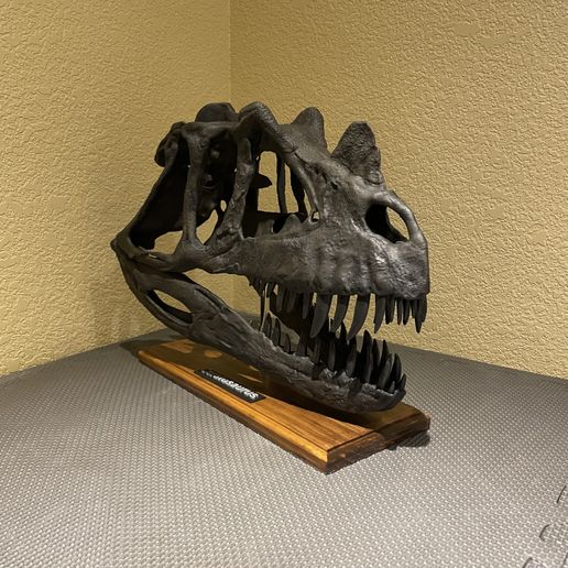 ceratosaurus skull