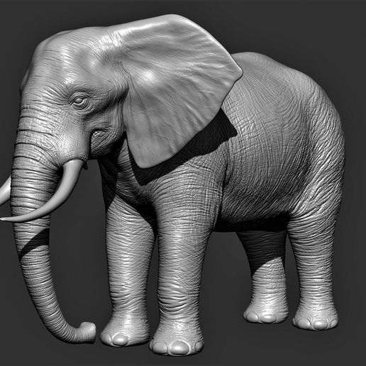 🐉 Wild animal collection・ 3D File for ・Cults