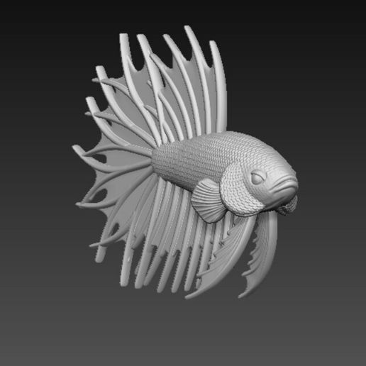 🐠 Betta Fish Crowntail - Ready For 3D Printing・ STL File for 3D ...