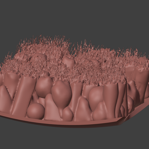 STL file 3D Model of the Epithelium of the Trachea 🧪 (OBJ)・3D printable ...