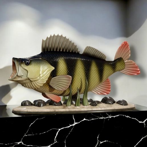 🐠 fish european perch / Perca fluviatilis in motion natural base ...
