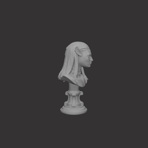 👤 NETEYAM - AVATAR 2 - BUST・ STL File for 3D printing・Cults