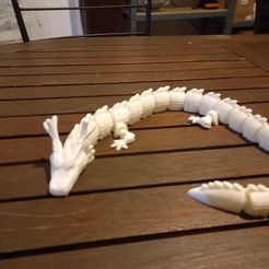 3D printed Long Dragon Flexi • made with Ender 3 v2・Cults