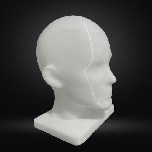 👗 Head Human - Human Head Mannequin・ STL File for ・Cults