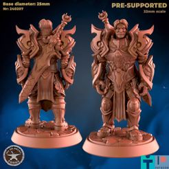 Paladin best STL files for 3D printing・724 models to download・Cults
