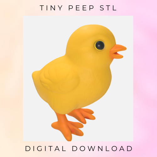 👶 Cute tiny Peep Peep / Baby Chick / Baby chicken / Hatchling / Chicken ...