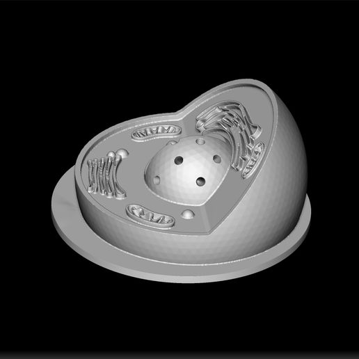 STL file Animal Cell 3D Model - Detailed Biology Study Tool - Cellular ...