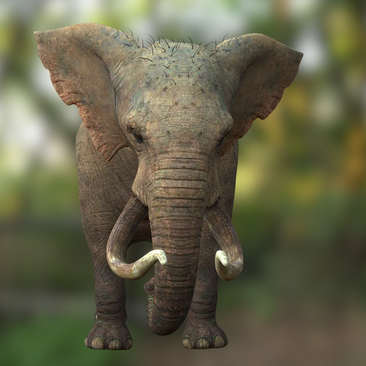 🐘 DOWNLOAD Elephant 3d model animated for blender-fbx-unity-maya-unreal ...