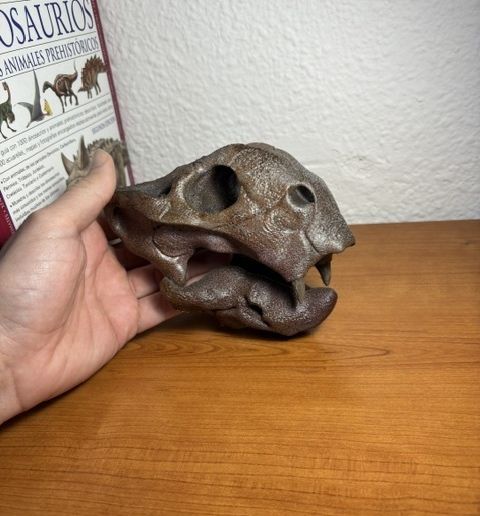 💀 Lystrosaurus skull・ STL File for 3D printing・Cults