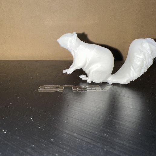 🐉 Squirrel・Free STL File for 3D printing・Cults