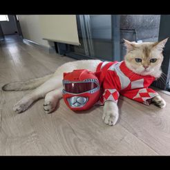 3D print RED RANGER CAT - Helmet・Cults
