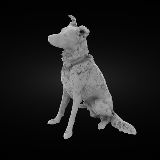🐕 Dog・ STL File for ・Cults