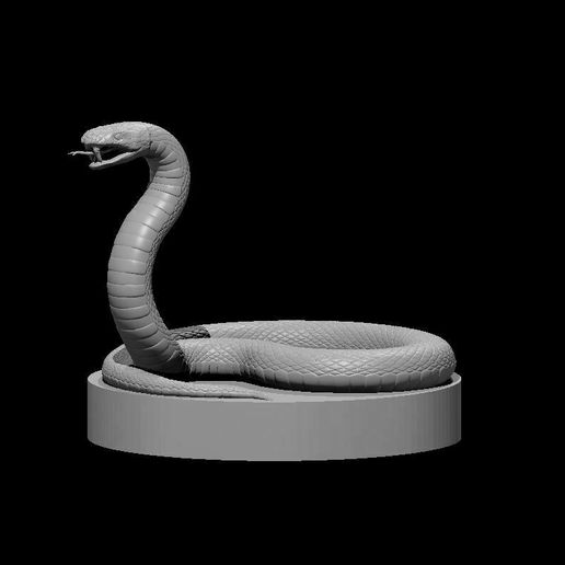 🐍 snake・Free STL File for ・Cults