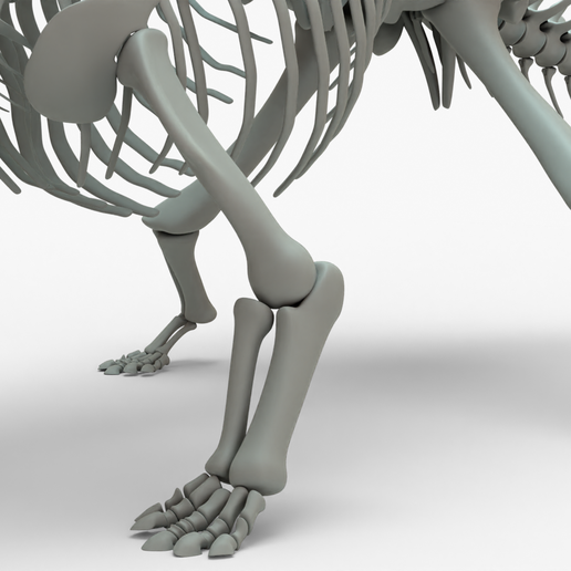 💀 Ankylosaurus Dinosour esqueleto Rigged 3D Print Model・Archivo STL ...