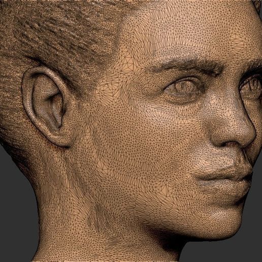 👩 Beautiful woman bust for full color 3D printing TYPE 3・ 3D File for ...