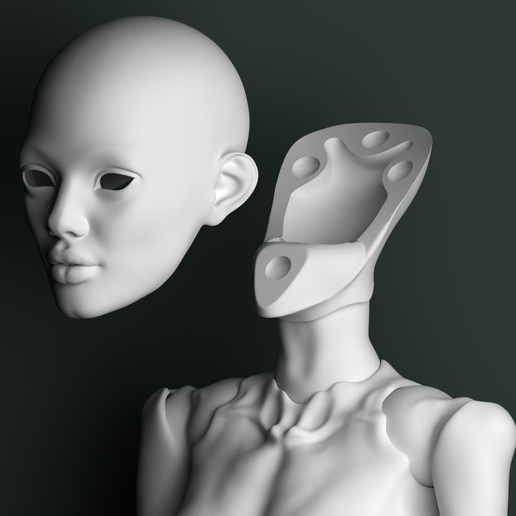 🫀 3D model WIKI of a ball-jointed BJD doll anatomical female figure ...
