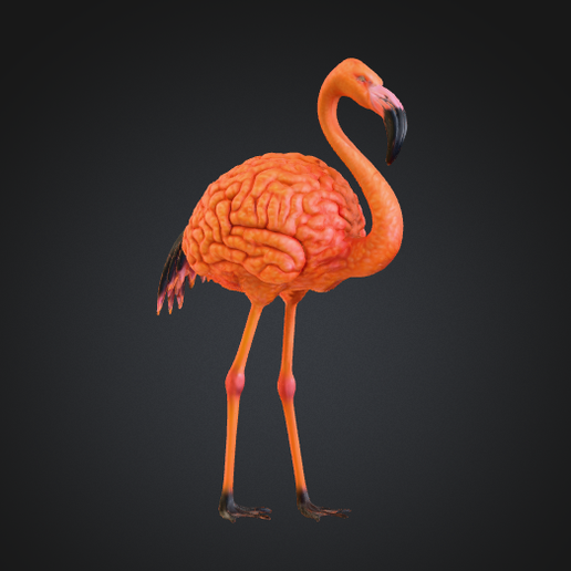 🦩 Flamingo・ STL File for 3D printing・Cults