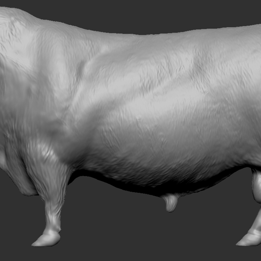 🐂 Angus Bull・ STL File for 3D printing・Cults