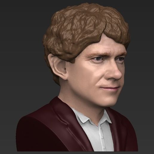 👤 Bilbo Baggins Hobbit bust for full color・ 3D File for 3D printing・Cults