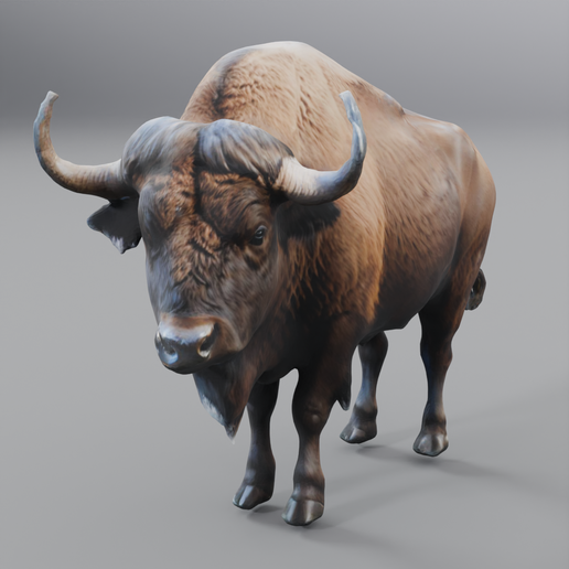 🎨 buffalo・ 3D File for 3D printing・Cults