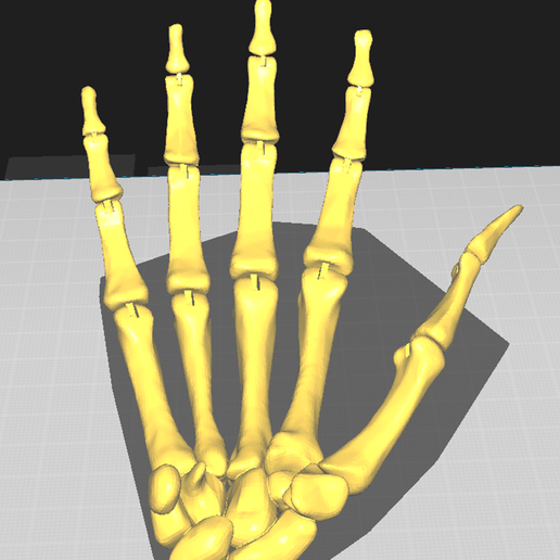 ️ articulated right hand skeleton・ STL File for ・Cults