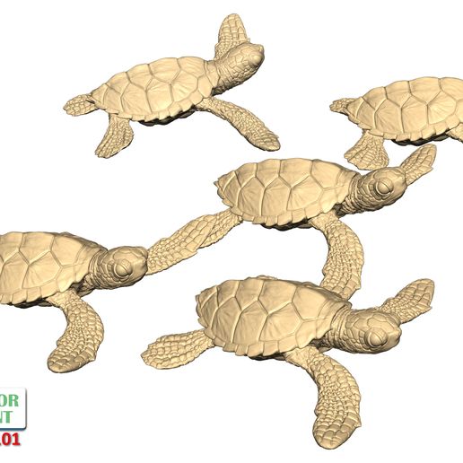 👶 Baby Sea Turtles 3D Printable Models・ 3D File for 3D printing・Cults
