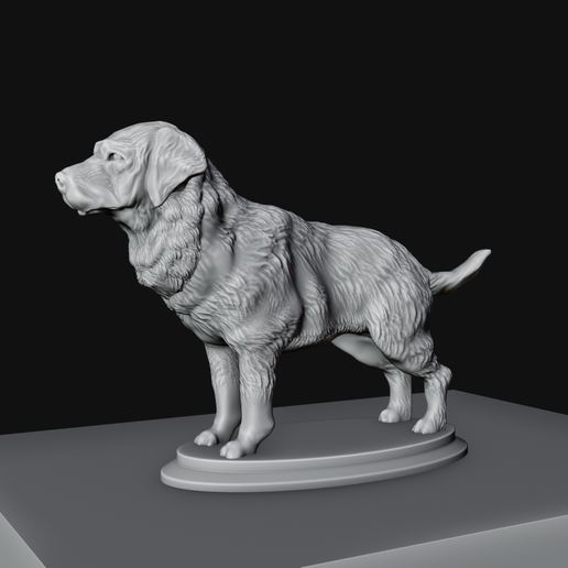 Fichier STL labrador stl 🐕 ・Objet imprimable en 3D à télécharger・Cults