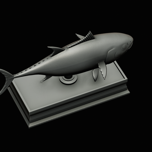 🐠 fish tuna bluefin / Thunnus thynnus with storage space / for 3d ...