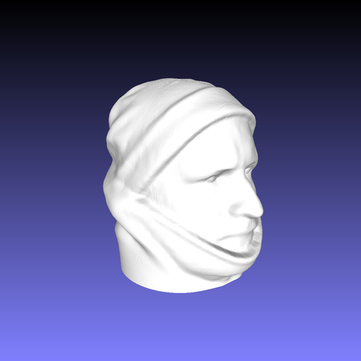 Free STL file Head scan with Hat and Neck Warmer 🩻 ・Template to ...