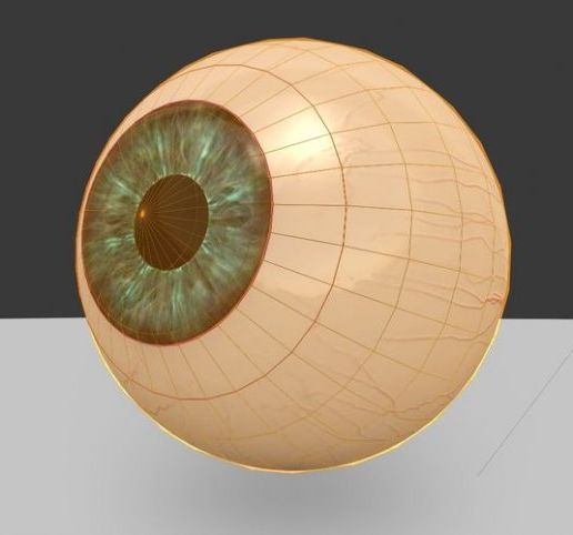 👁️ Eyeball 3D Model・ 3D File for 3D printing and CNC machining - Laser ...