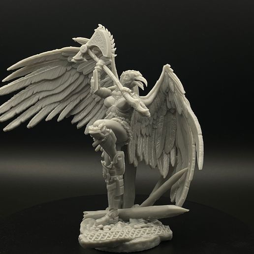 🐦 Ingrid Ravenson - Raven-Form Valkyrie | 32mm Spirit Warrior Miniature ...