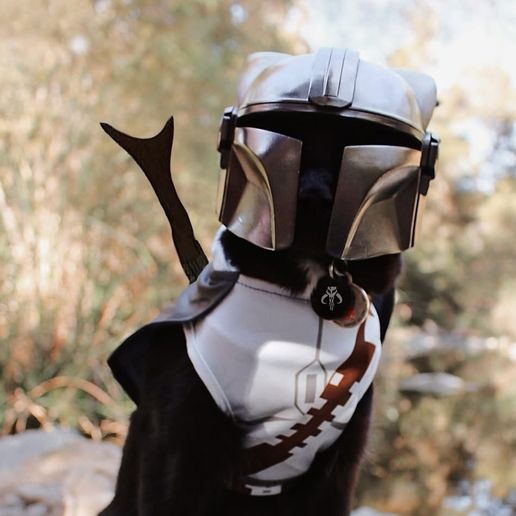🐱 MANDO CAT - Helmet・3D Print・Cults
