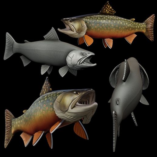 👄 brook trout / Salvelinus fontin real size 3 open mouth in motion fish ...