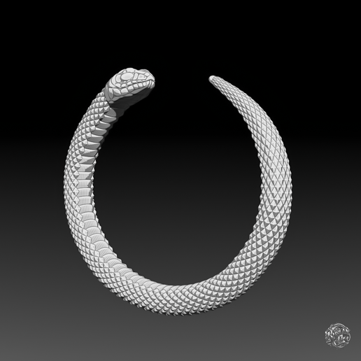 🐍 Snake - Symbol of Rebirth・Free STL File for 3D printing and CNC ...