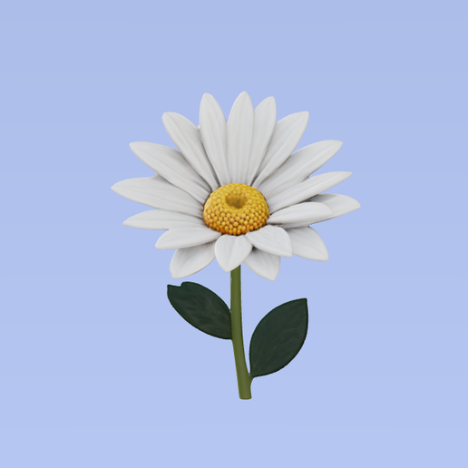 STL file White Daisy 💐 ・3D printer model to download・Cults