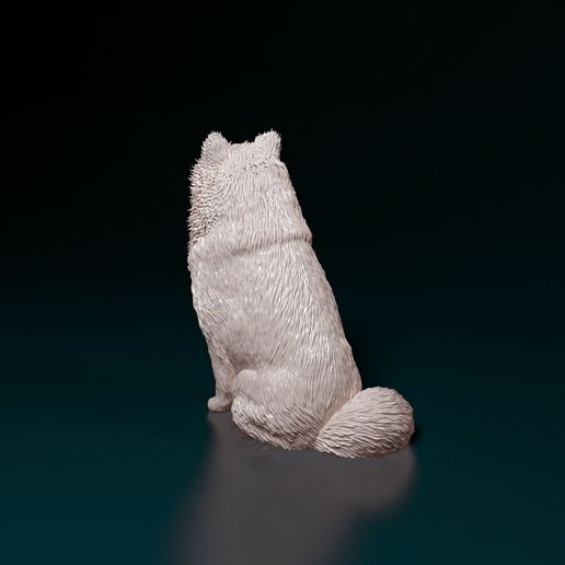 🐕 Spitz dog・ STL File for 3D printing・Cults