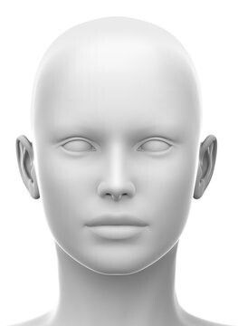 🎨 Mannequin Head REAL SIZE・Free STL File for 3D printing・Cults