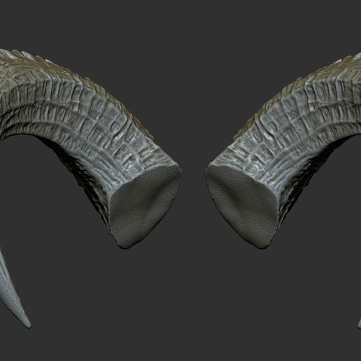 🤘 24 - Creature+Monster+Demon Horns・ 3D File for 3D printing・Cults