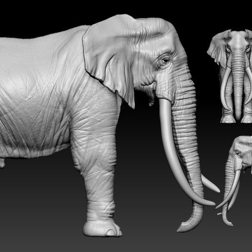 Download OBJ file Elephant African • Design to 3D print ・ Cults