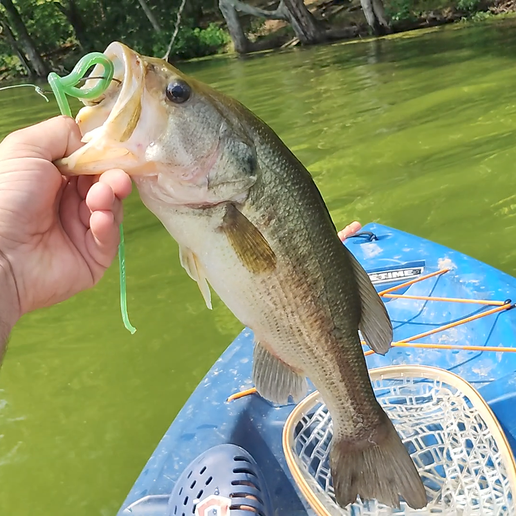 STEP file Coil-Worm Single Cavity Soft Plastic Fishing Lure Mold 🎣 ・3D ...