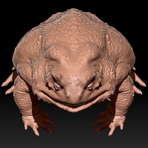 🐚 Gorf - Mortal Shell・ STL File for 3D printing・Cults