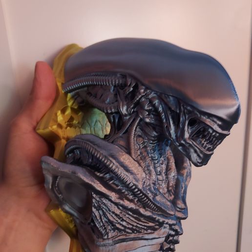 👽 Xenomorph (Alien) Wallmount・ STL File for 3D printing・Cults