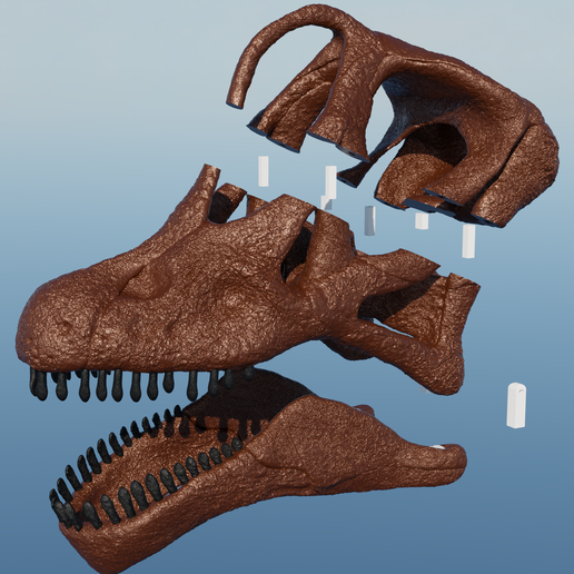 💀 Brachiosaurus skull 3d print・ STL File for 3D printing・Cults