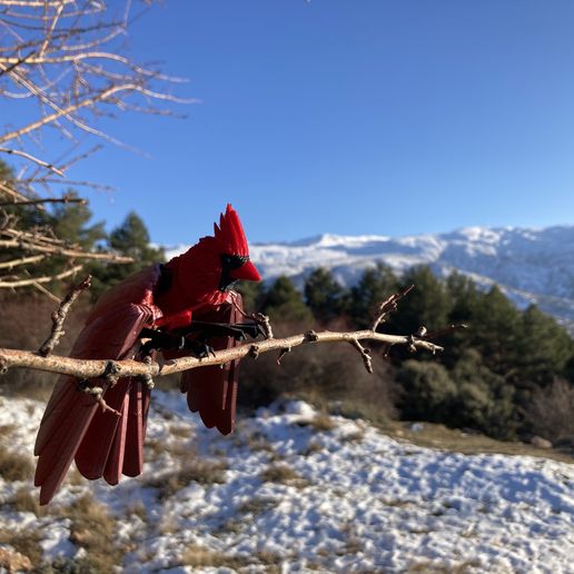 🐦 Cardinal・ STL File for 3D printing・Cults