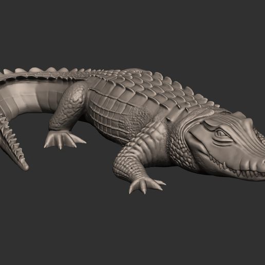 🐄 Animal Kingdom Wildlife set STL Files 3D Printable model・ 3D File for ...