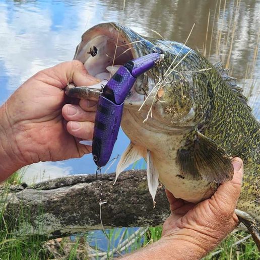 🎣 Brucie wakebait 3 piece fishing lure surface (resin)・ STL File for 3D ...