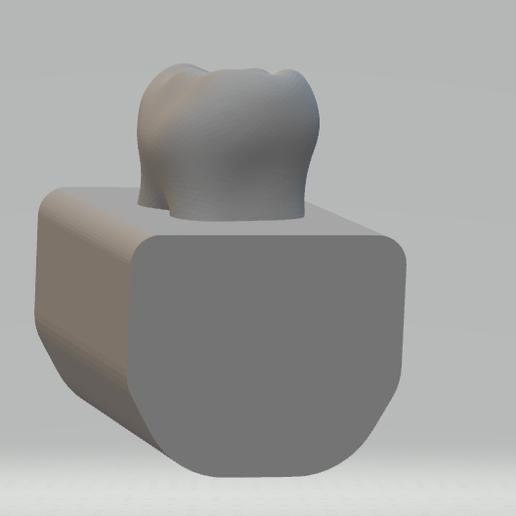 🦷 jaw and tooth model・Free STL File for 3D printing・Cults