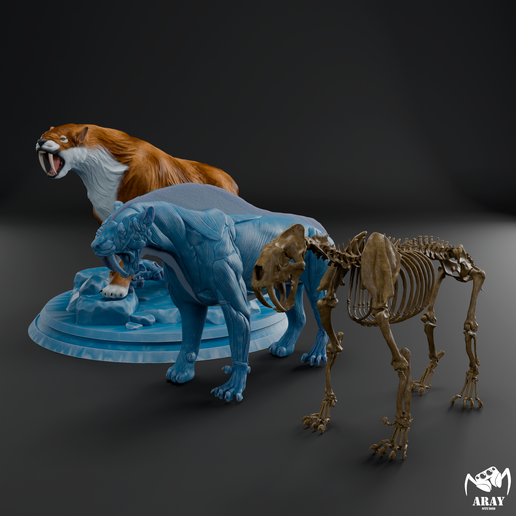 🐅 Smilodon populator - sabertooth 3D print model・ 3D File for 3D ...