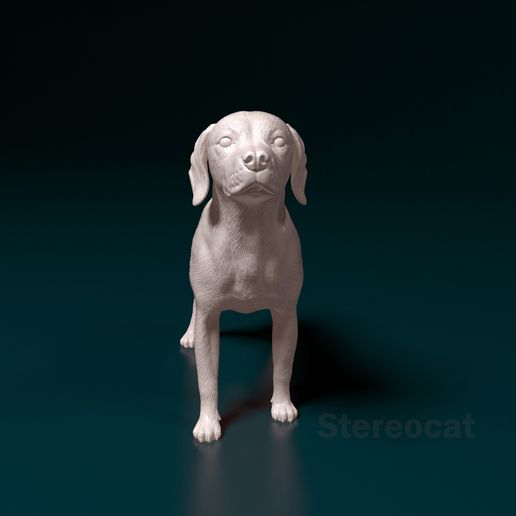 STL file Beagle 🐕 (OBJ)・3D print design to download・Cults