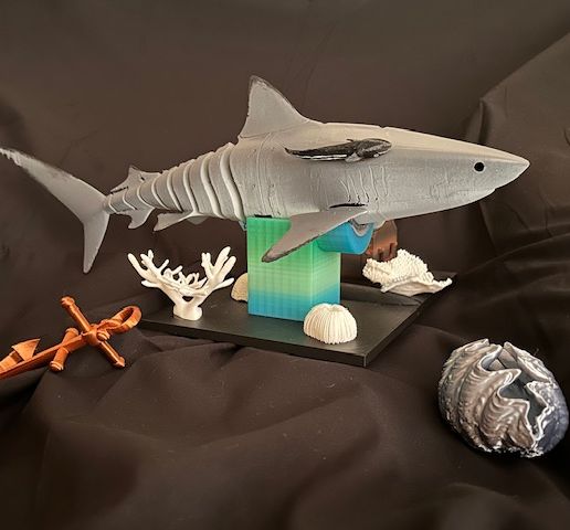 🐅 Tiger Shark・3D Print with the Bambu Lab X-1 Carbon 3D printer・Cults